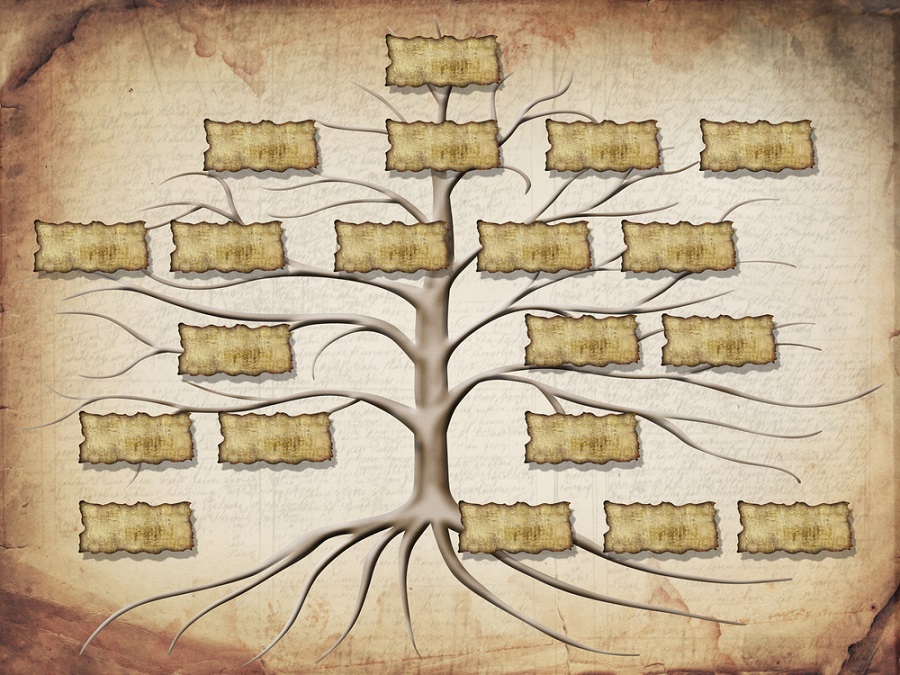 Mire jó a családfa rajzolás? - családfakutató.hu I genealogus.hu